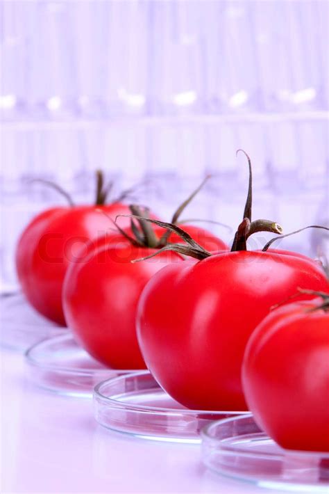 Genetically Modified Fruits And Vegetables Stock Image Colourbox