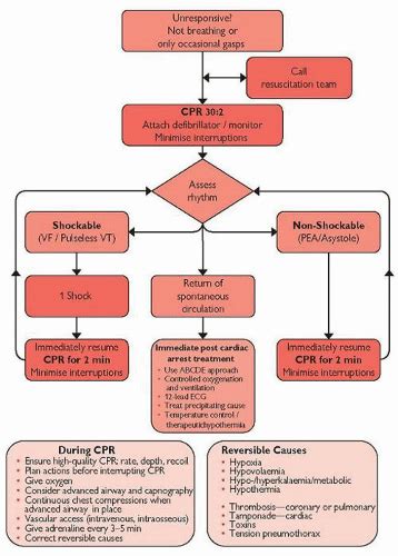 Circulation Anesthesia Key