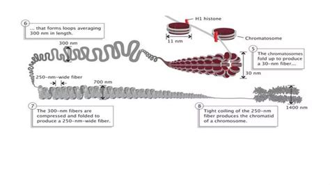 Medicinal Plant Biotechnology Unit 1 Pcg Sem 2 Pptx