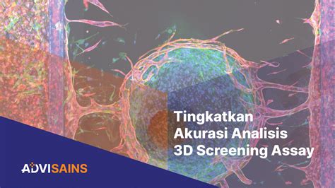 Ai Tingkatkan Akurasi Analisis 3d Screening Assay