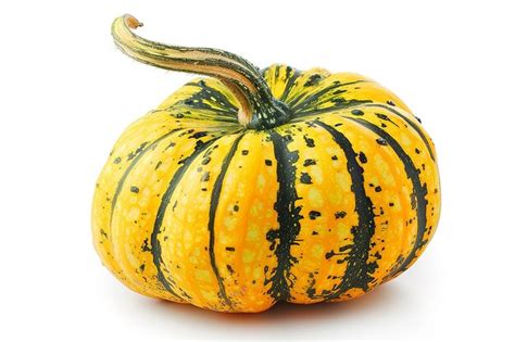 Photography Of Squash Vegetable Premium Ai Generated Image