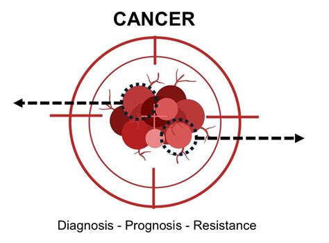 Single Cell Analysis In Cancer Therapy Advances In Diagnosis Prognosis And Prediction Of Drug