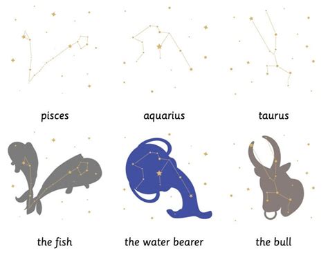Constellation Identification Cards Etsy