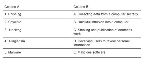 Cyber Ethics Important Questions Class 10 Computer Application Pdf