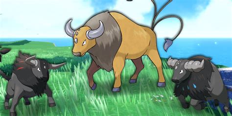 Tauros Evolution How To Get Kanto Tauros In Pokemon Scarlet And Violet