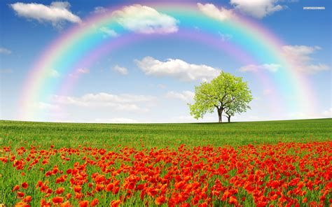 Beautiful Rainbow Wallpaper Wallpapersafari