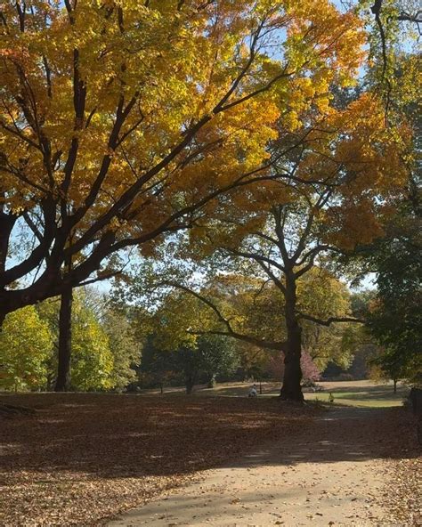 Hannadotson • Instagram Photos And Videos