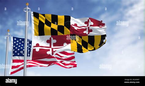 The Maryland State Flag Waving Along With The National Flag Of The