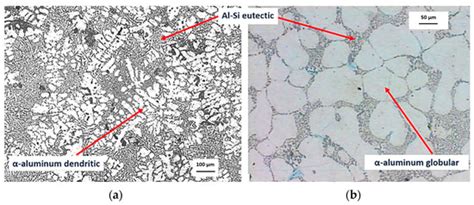 Rheological Behavior Of The A356 Alloy In The Semisolid State At Low