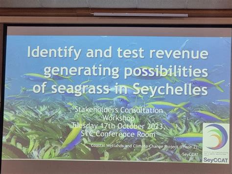 Seyccat Pewcharitabletrust Seagrass Alain De Comarmond