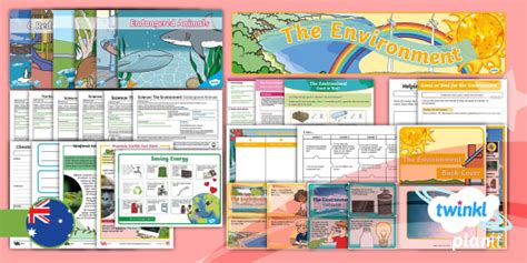 Year 2 Science The Environment Unit Pack Teacher Made