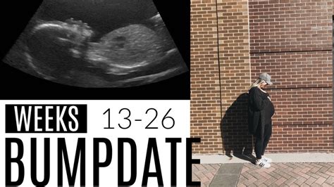 Second Trimester Bumpdate And Gender Reveal Weeks 13 26 Pregnancy