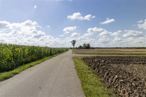 Paved Highway In Rural Areas Stock Image Image Of Drive Areas 277768355