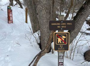 Hanging Lake Trail Colorado Everything You Need To Know