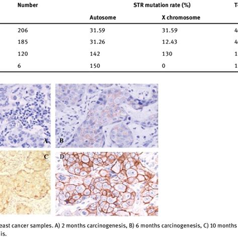 The Str Mutation Rate Of Different Tumor Types In Gynecological Cancer