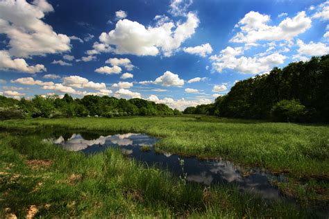 Mura Drava In Donava Od Danes Evropska Amazonka Anaasicsic