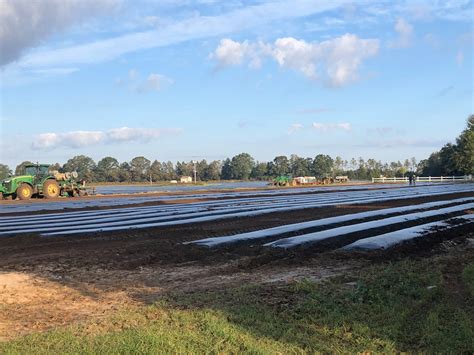 Eubanks Produce Eubanks Produce Added A New Photo — At