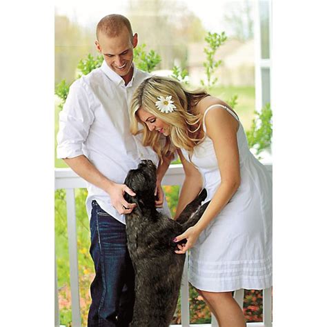 Как нравът на стопанина изгражда домашния любимец Български Фермер