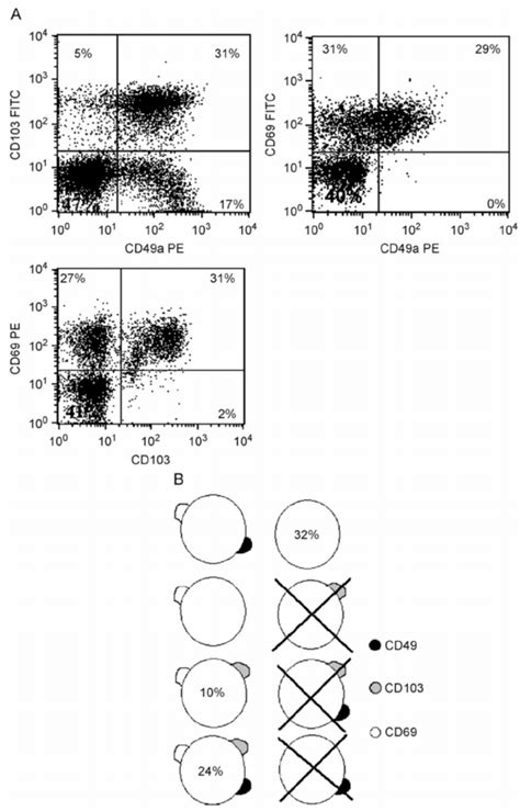 A Example Of Three Colour Flow Cytometry Dot Plots From Two Separate Download Scientific