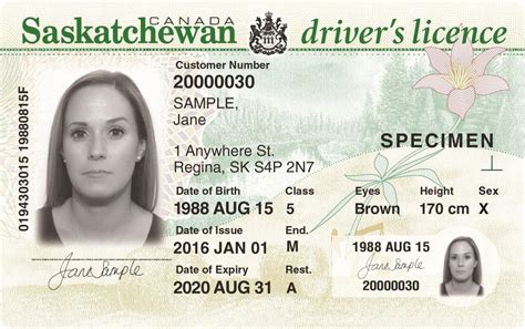 Sgi Offers Gender Neutral Option For Id Cbc News