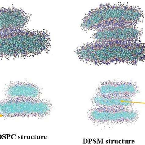PDF Study Of Structural Stability And Formation Mechanisms In DSPC And DPSM Liposomes A