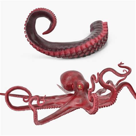 Tentacle 3d Models For Download Turbosquid