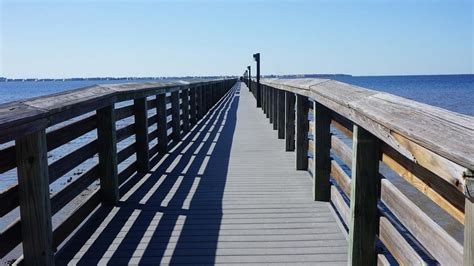 Bayshore Live Oak Park All You Need To Know Before You Go 2025