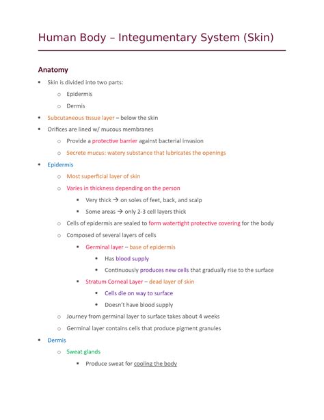 Integumentary System Rc Health Services Book Notes Human Body