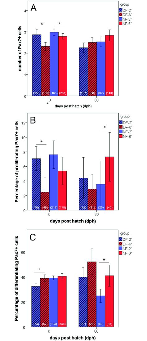 Quantification Of Muscle Precursor Cells Mpcs Numbers Of Labelled