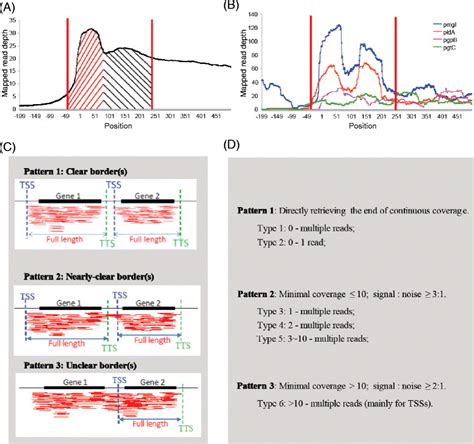 Read Distribution Mapping Patterns And Tsstts Extraction Strategies
