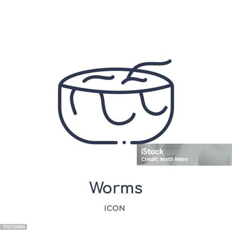 음식 개요 컬렉션에서 선형 웜 아이콘입니다 얇은 라인 웜 아이콘 흰색 배경에 고립입니다 웜 유행 그림 0명에 대한 스톡 벡터 아트 및 기타 이미지 Istock