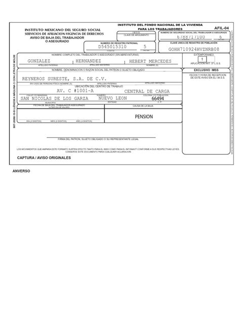 Afil 04 Editable Pdf Pdf Gobierno Justicia