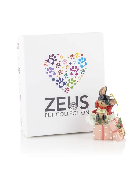 Chihuahua Eimear Wright