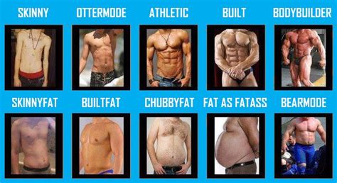 Male Body Types Ottermode