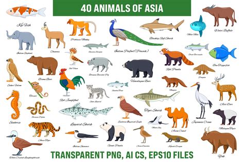 Animals Of Asia Collection