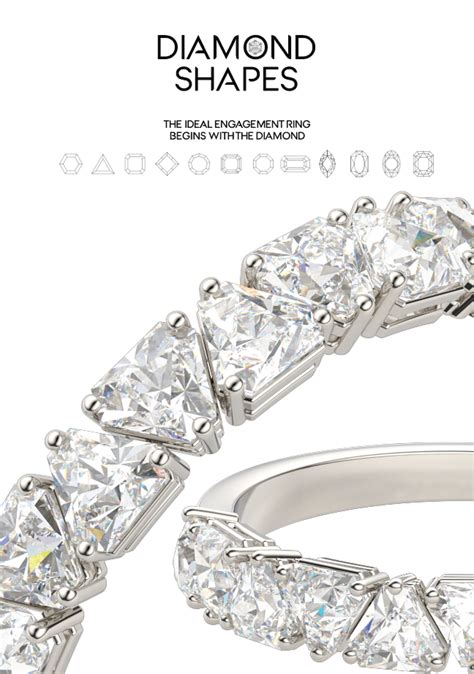 Catalog And Borochure