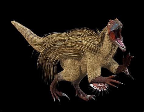 Utahraptor Feathers