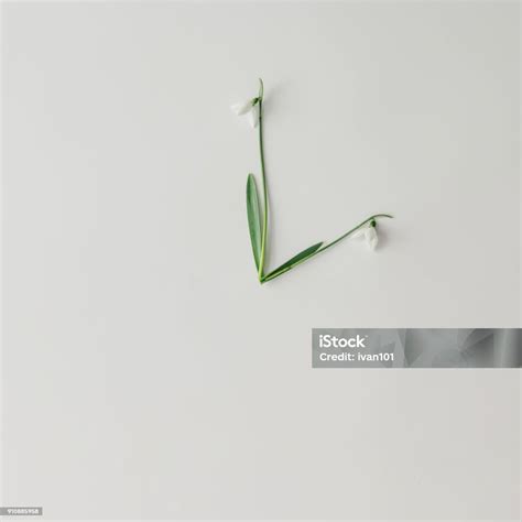 크리에이 티브 레이아웃 밝은 배경에 헌병 꽃으로 만든 플랫이 하다 봄 최소한의 개념입니다 갈란투스에 대한 스톡 사진 및 기타 이미지 Istock