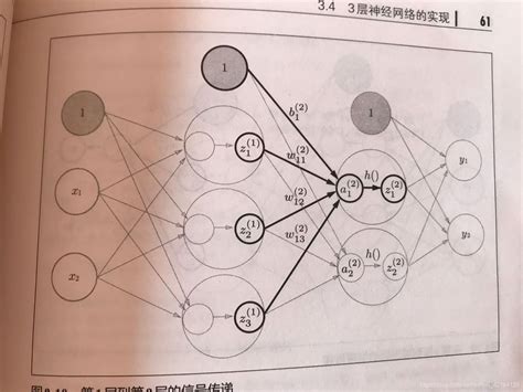第三章神经网络——基于numpy的代码详解numpy分词 Csdn博客