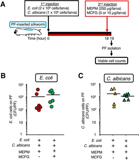 Crystal Violet Staining Plos One
