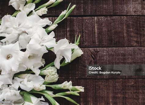 소박한 나무 바탕에 아름 다운 흰색 Gladioluses 보기 가기 소박한 갈색 나무 텍스트 공간에 세련 된 Gladioli 휴가 인사말 카드 꽃 플랫 누워 봄 이미지