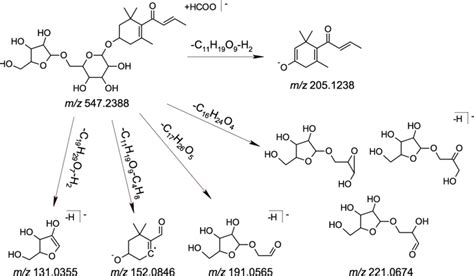 Fragmentation Proposed For 3 Hydroxy β Damascone Hexose Pentose Download Scientific Diagram