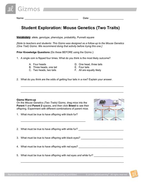 Mouse Genetics Two Traits Exploration Worksheet