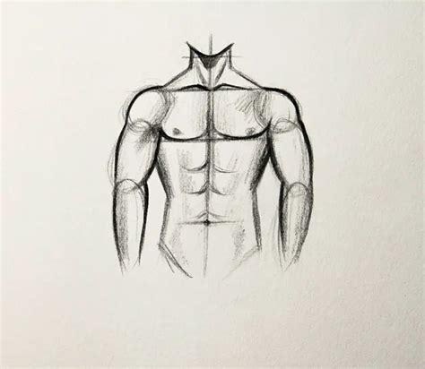How To Draw A Torso Step By Step Drawing Tutorial Figure Drawing