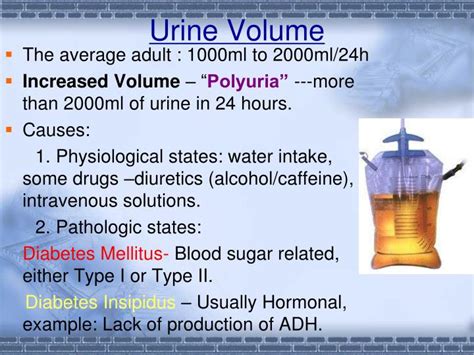 Ppt Urinalysis Powerpoint Presentation Id5498707