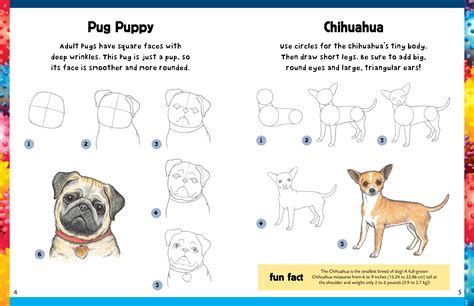 How To Draw A Dog Step By Step Realistic