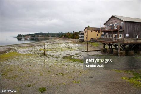 Center Island Washington Photos And Premium High Res Pictures Getty