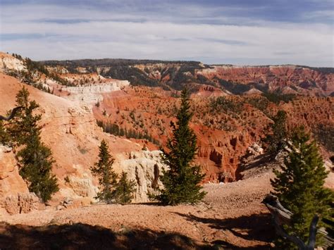 Dixie National Forest Raven About The Parks