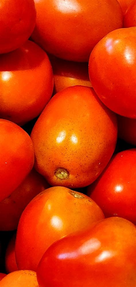 Native Tomato Livegreen