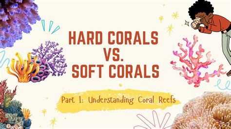 Soft Corals And Hard Corals